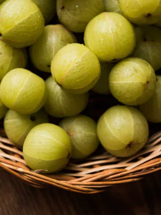 Indian Gooseberry: जानें आंवला से बनने वाली ये 5 चीज़ें और इसके गुण