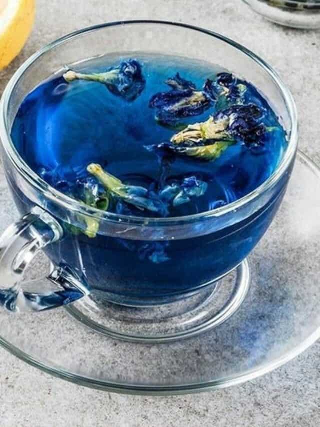 Heard Of Blue Tea? Discover The 7 Benefits Of The Vibrant Tea