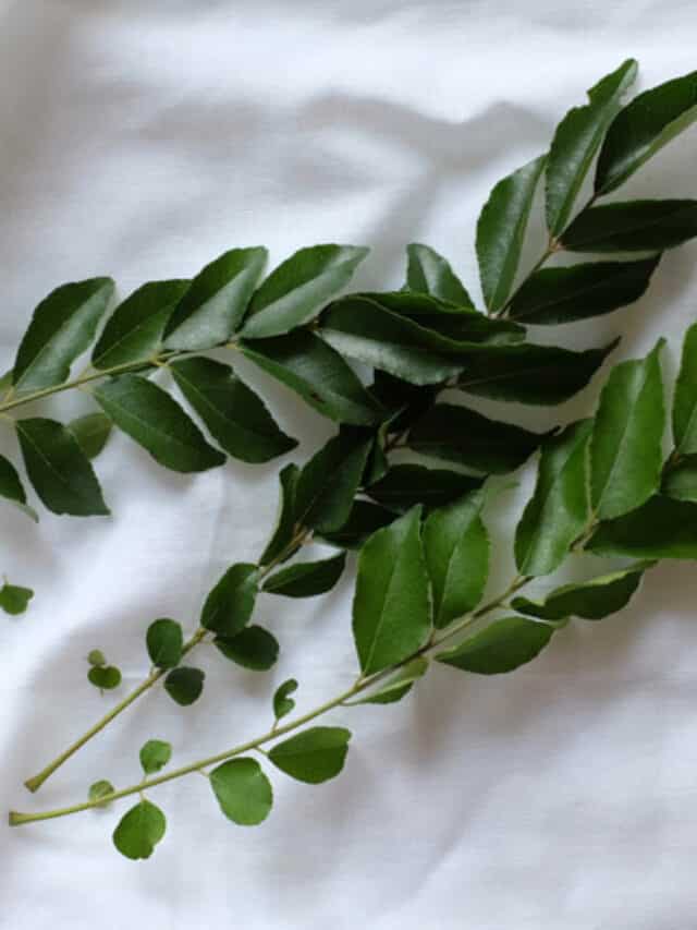 Move Over Curry Leaves : 7 Different Greens To Flavour Your Dish