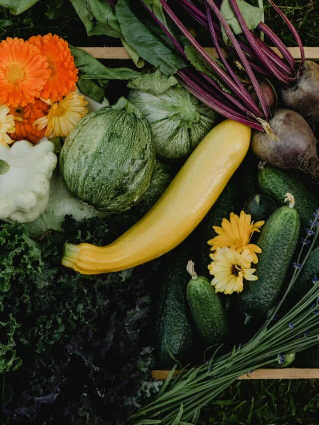 10 Monsoon Vegetables You MUST Have!