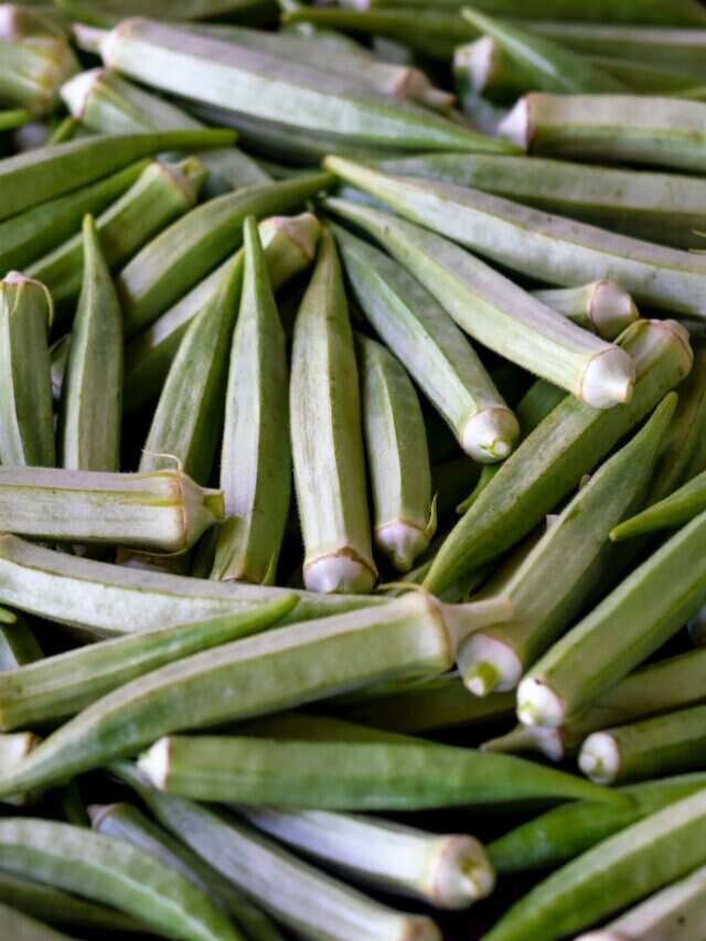 Kurkuri To Dahi Bhindi: 8 Dishes You Can Make With This Versatile Vegetable