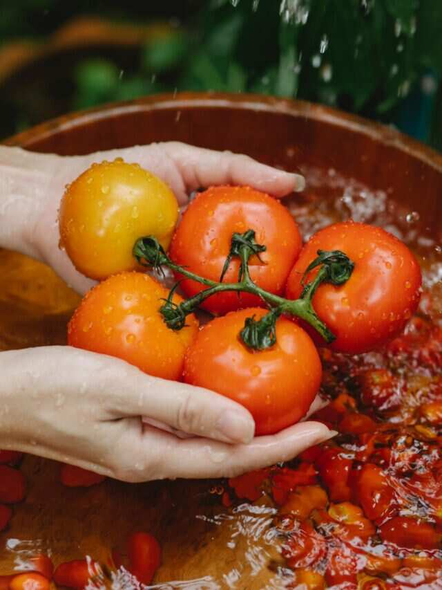 5 Dishes That Use Tomatoes As A Base