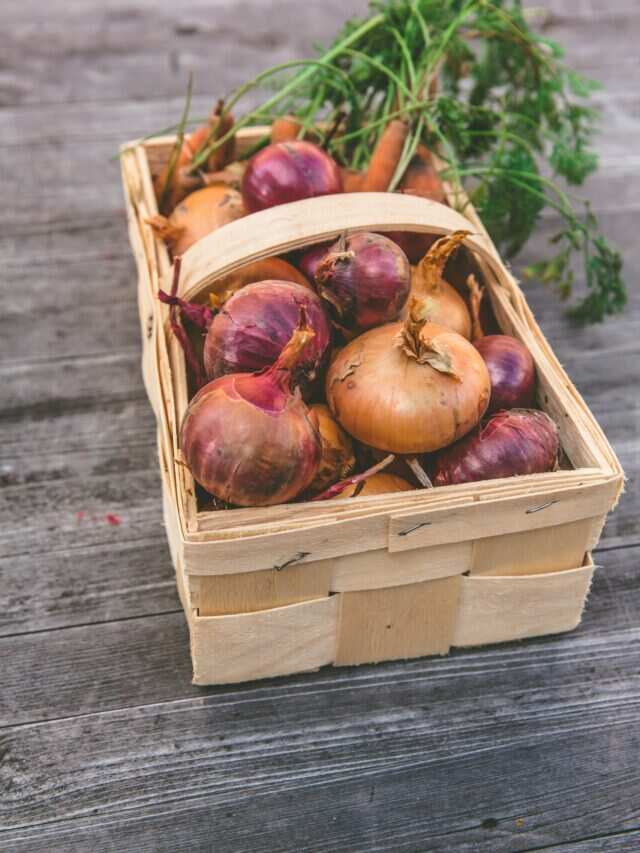 7 Types Of Onions And Their Uses