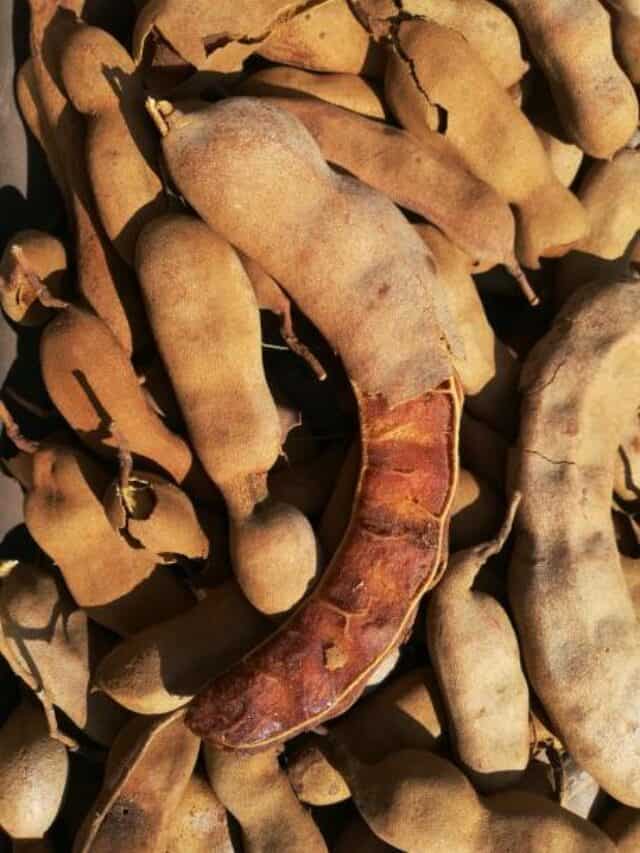 6 Tamarind Dishes That Are A Must Try