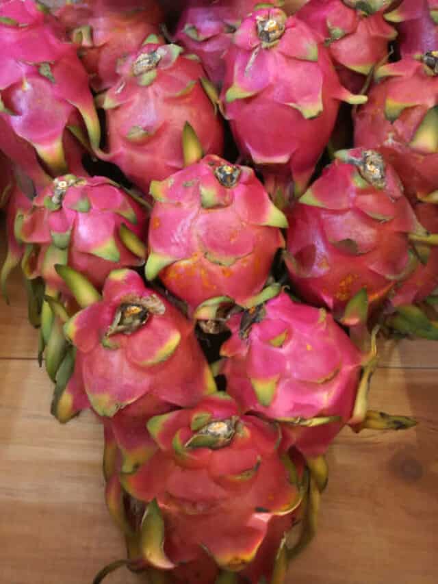 Love Pitaya? 7 Varieties Of Dragon Fruit To Try