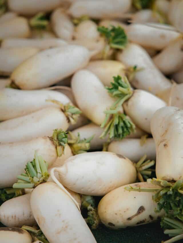 Mooli: 9 Indian Recipes To Make With Radish This Winter