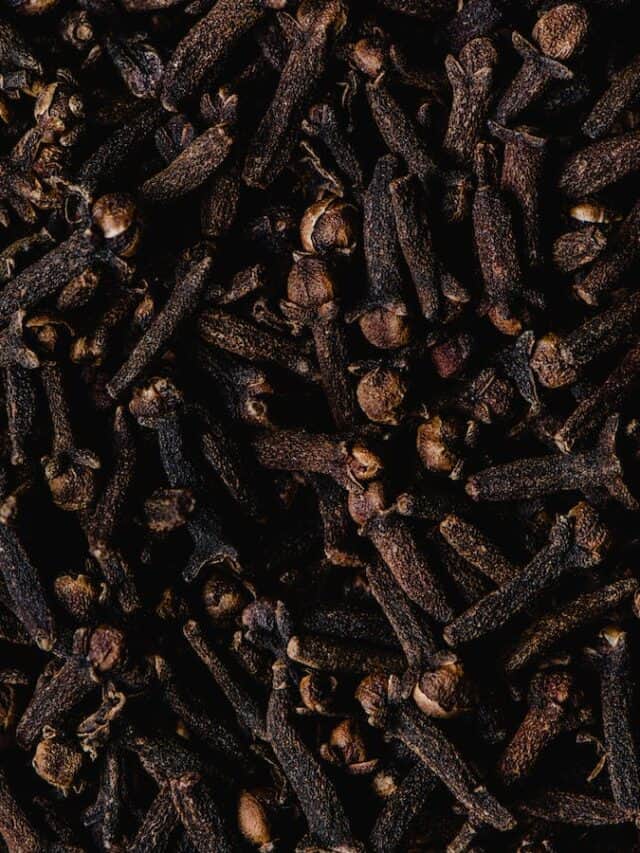 Winter Special: Know Why Clove is a Winter Essential for Well-being