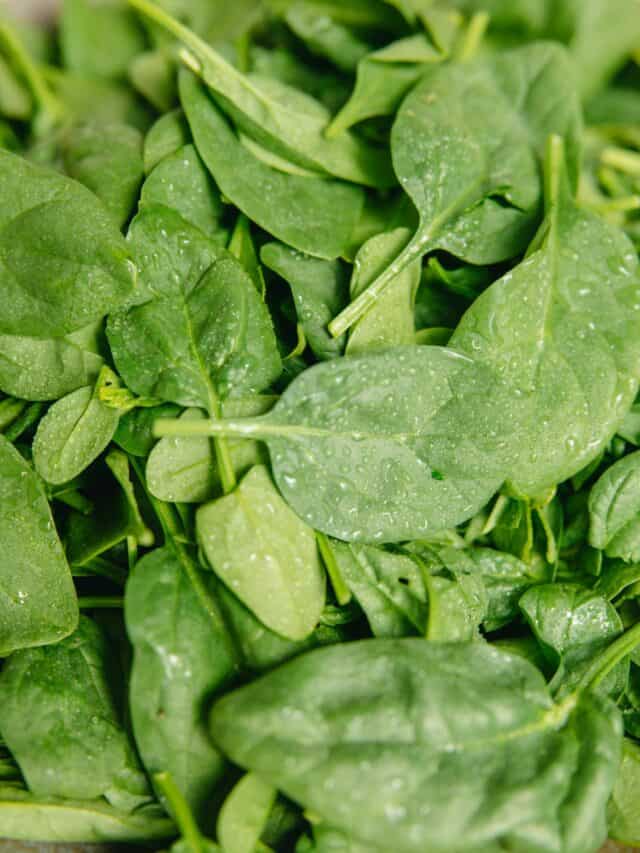 Malabar To Tyee: 7 Different Types Of Spinach