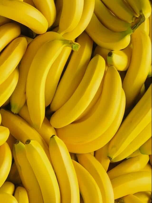 Robusta To Rasthali : 6 Indian Banana Varieties You Must Try