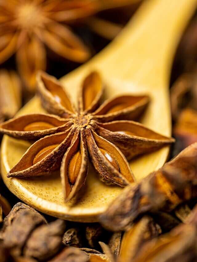 6 Benefits Of Star Anise You Must Know