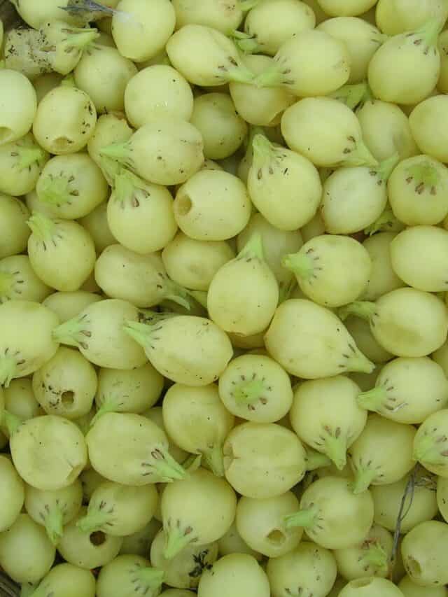 Jharkhand Special: Easy Mahua Masala Recipe For You To Try