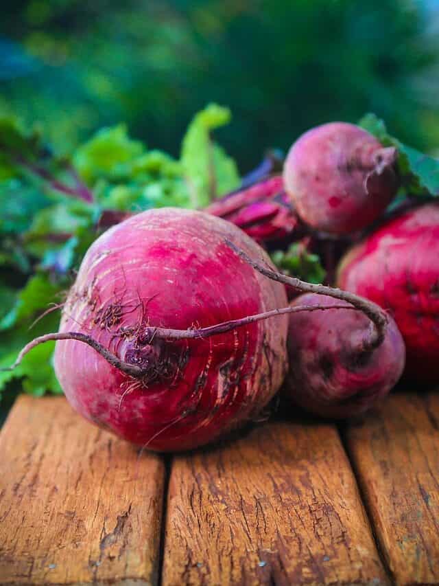 Winter Wellness: 6 Must-Have Root Vegetables for Seasonal Cooking