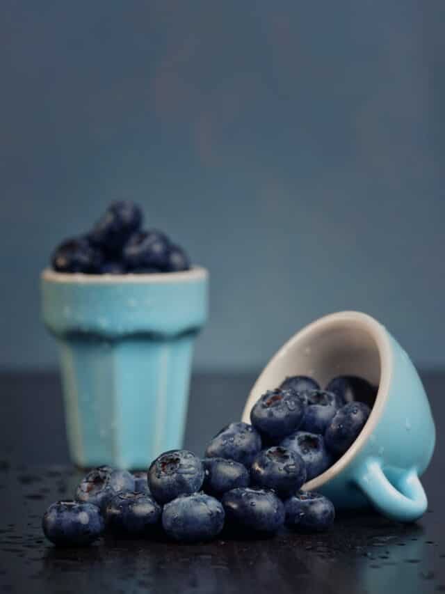 Antioxidant Richness: 6 Blueberry Benefits Explored