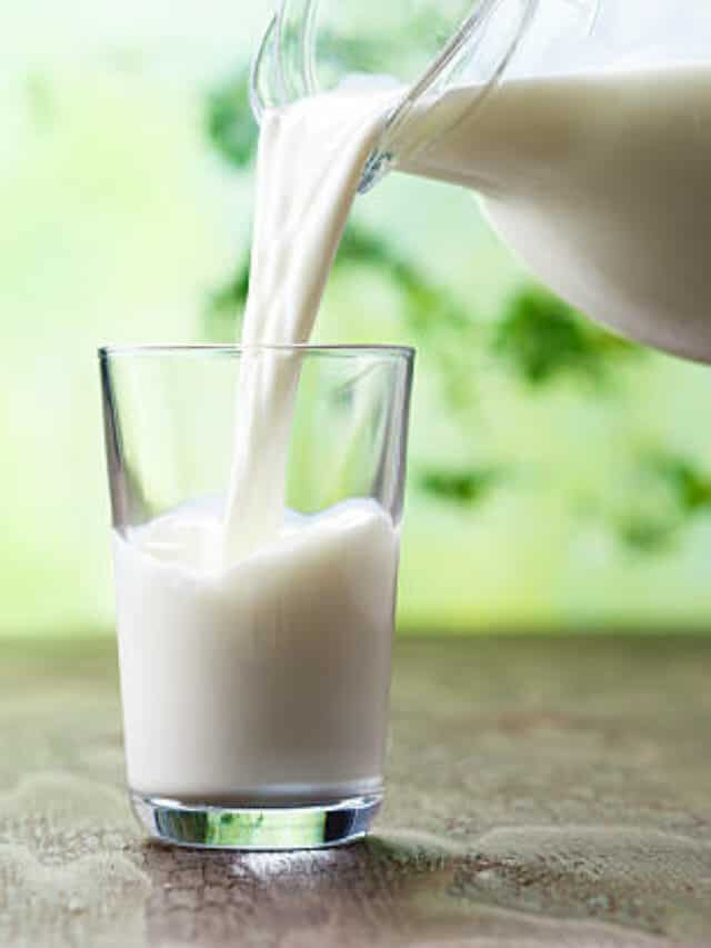 Cow Milk Vs Buffalo Milk 7 Key Differences Between The Two Milks cow-milk-vs-buffalo-milk-7-key-differences-between-the-two-milks