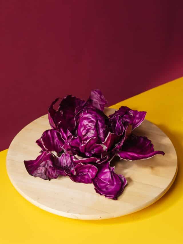 Easy Purple Stuffed Cabbage Rolls Recipe