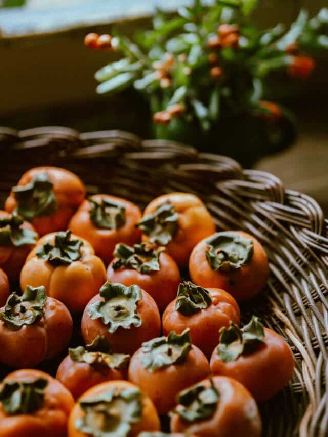 Pickled Persimmons Recipe To Try This Winter
