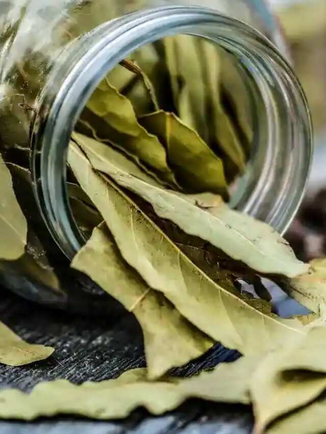 7 Benefits Of Tej Patta You Should Know About