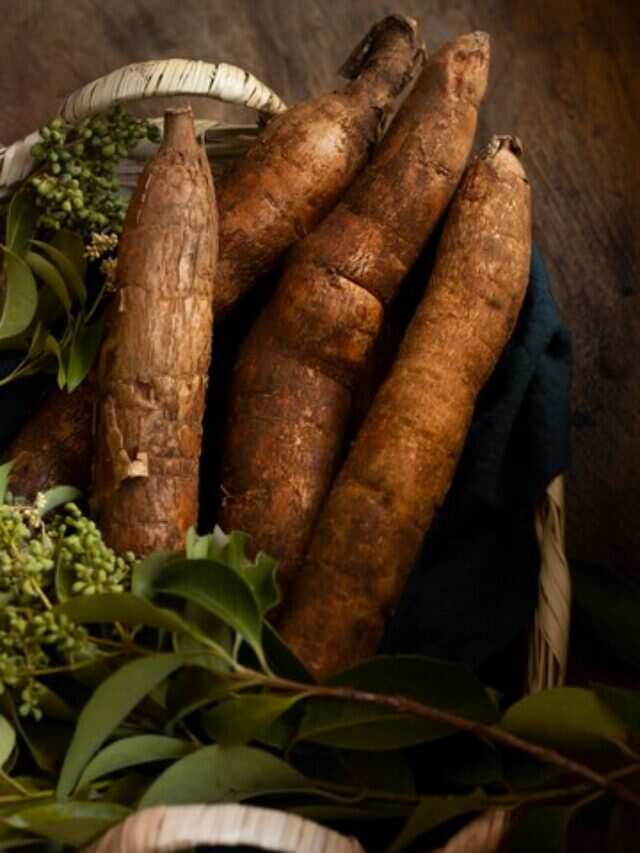 7 Reasons To Include Nutritious Tapioca In Your Diet