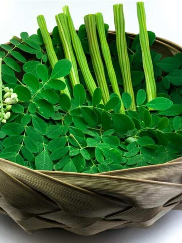 6 Reasons Why You Should Include Drumsticks In Your Diet 6 Reasons Why You Should Include Drumsticks In Your Diet