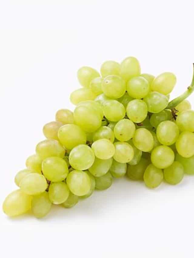 Green Grapes Benefits: आइए जानते हैं हरे अंगूर खाने के फायदे