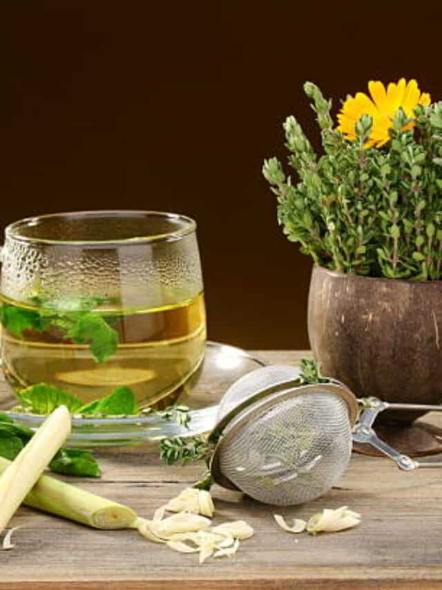 5 Post-Dinner Digestive Drinks For Better Digestion