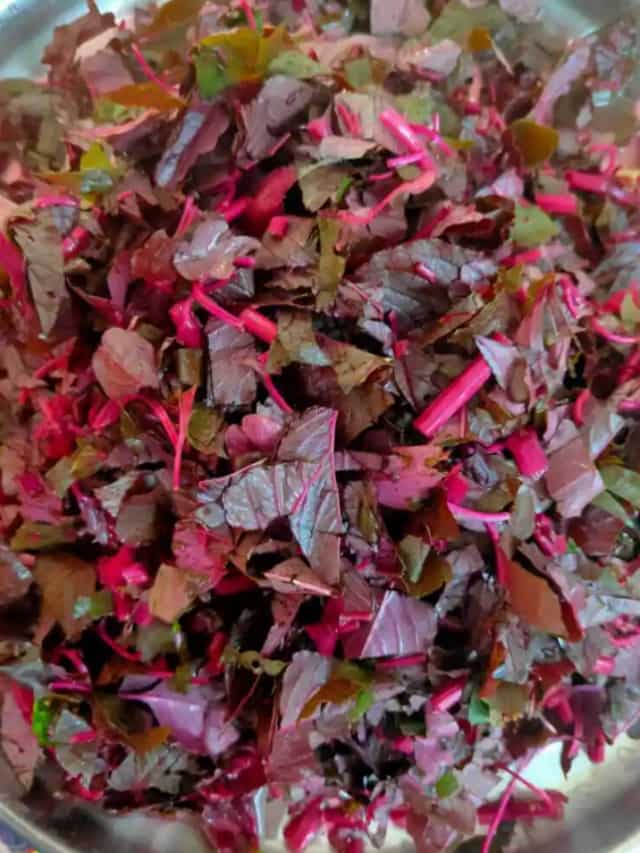 7 Benefits Of Red Spinach You Should Know About