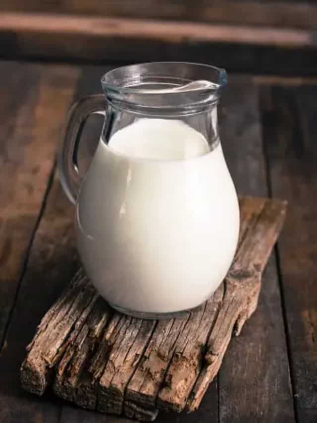 Cow Milk Vs. Goat Milk: 4 Differences That Set Them Apart