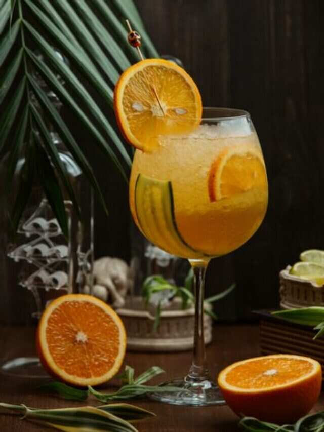 Refreshing Homemade Citrus Spritzer To Cool Your Summer Days