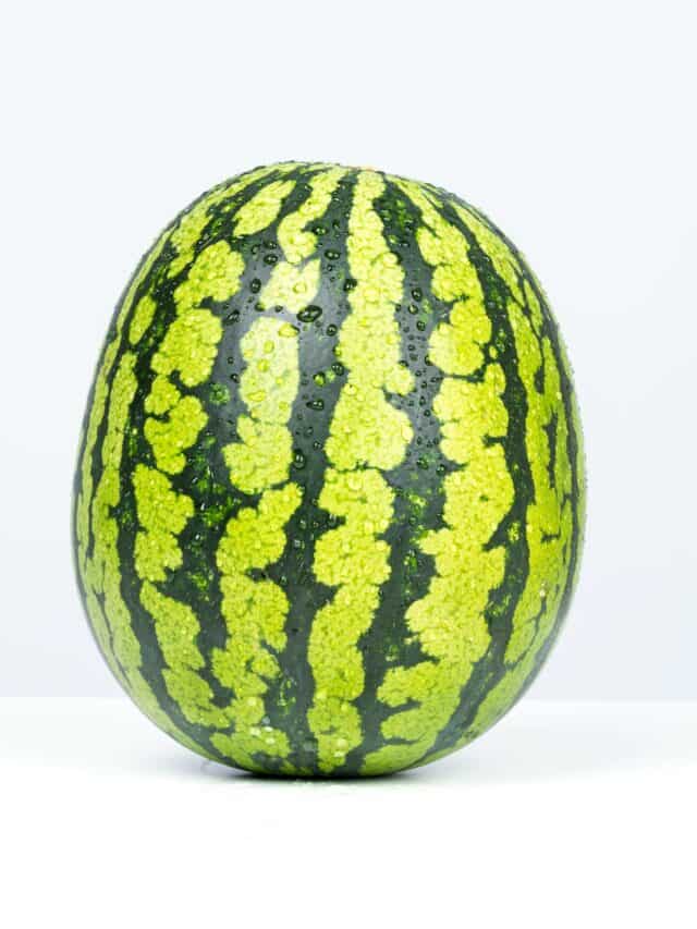 Got A Large Watermelon For Summer Indulgence? Try These Tips To Cut It
