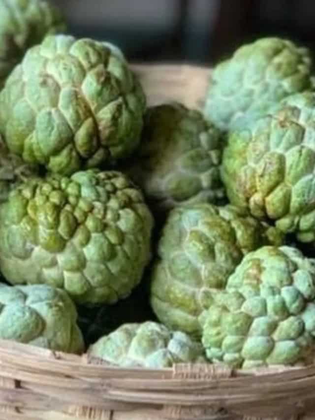 6 Benefits Of Consuming Sitaphal During Summer