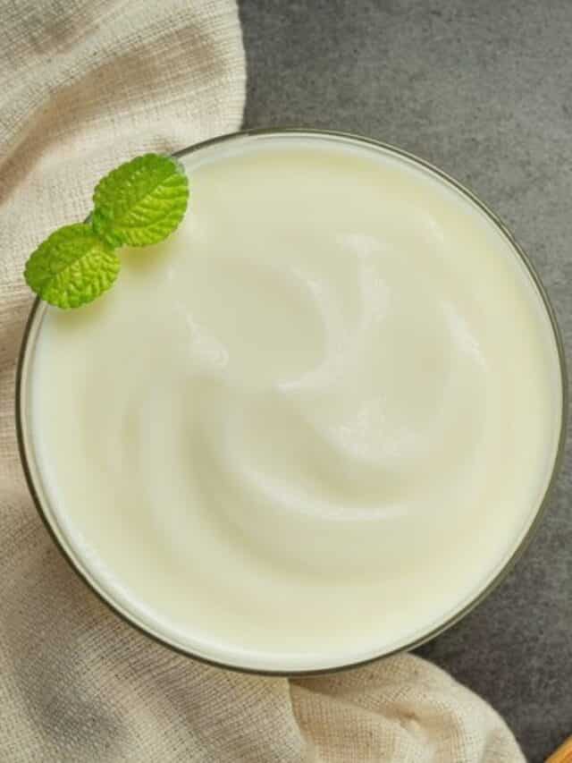 How To Make Sour Cream At Home; Easy Steps To Master