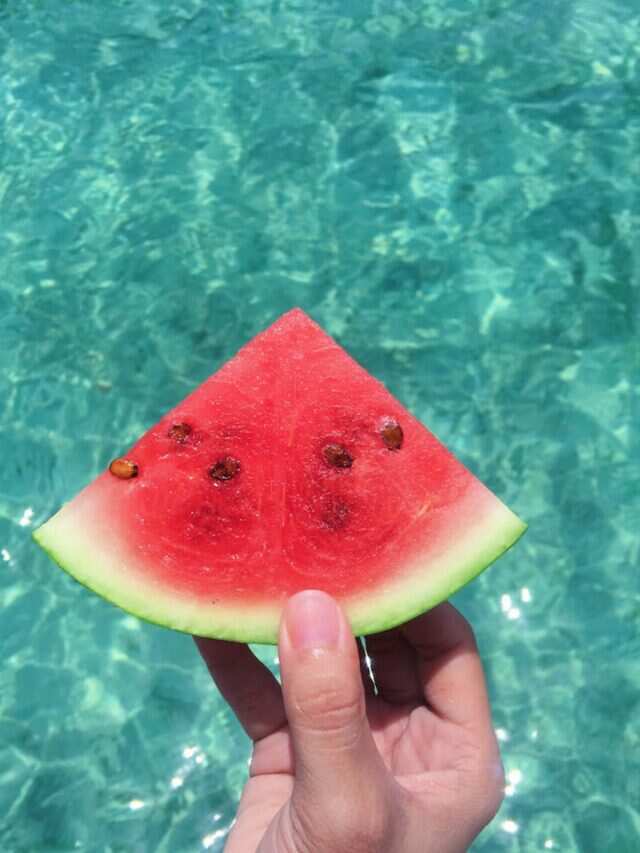 Can We Keep Watermelon In Fridge? 5 Hacks You Need To Know