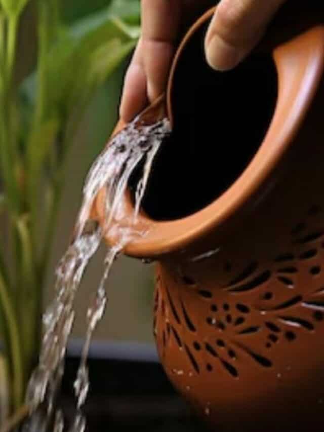 7 Checks To Run Before Buying Matka In Summer