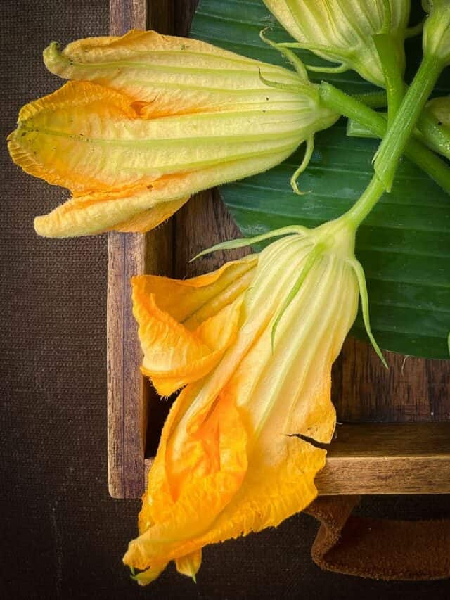 Include Pumpkin Flowers In Your Diet For These 6 Health Benefits