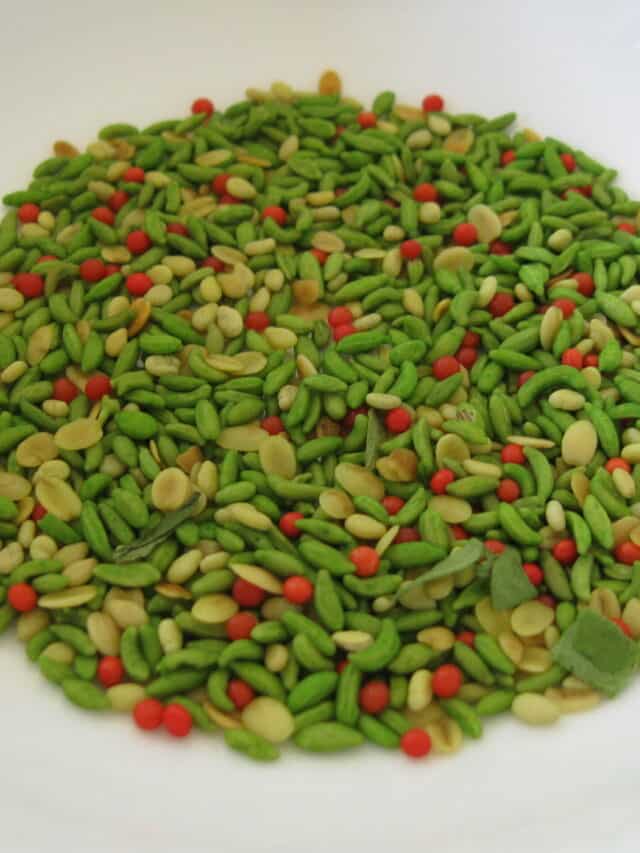 6 Different Types Of Indian Digestives To Consume Post Meals