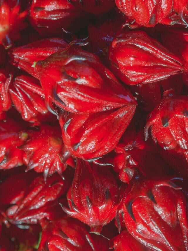 Get A Taste Of Jharkhand With This Unique Lal Phool Ki Chutney