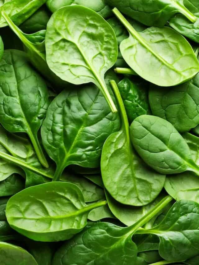 From Curries To Snacks: 7 Delicious Palak Dishes To Try