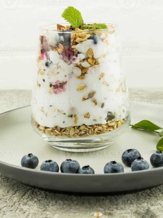 Make Dry Yoghurt At Home With This Easy Method