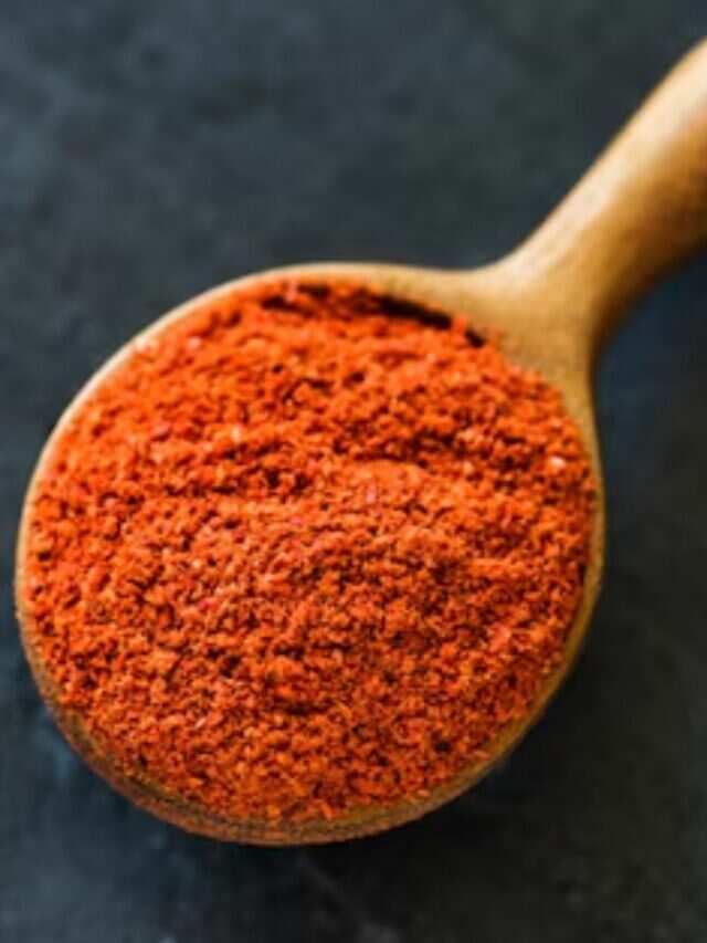 South Indian Gunpowder Recipe: Make Milagai Podi At Home