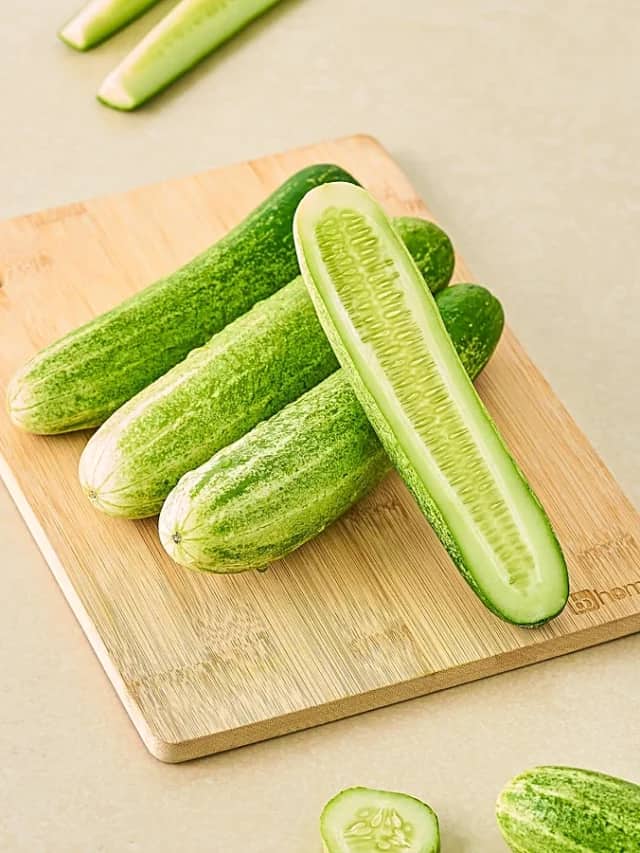 Cucumber In Summer: गर्मियों में दिनभर एनर्जेटिक रहने के लिए इन 4 ...