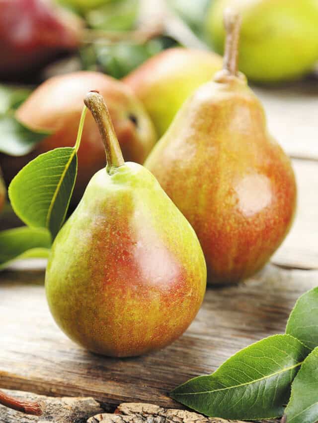 Pear Benefits: सेब ही नहीं, नाशपाती खाने से भी सेहत को मिलते हैं ये 5 ...
