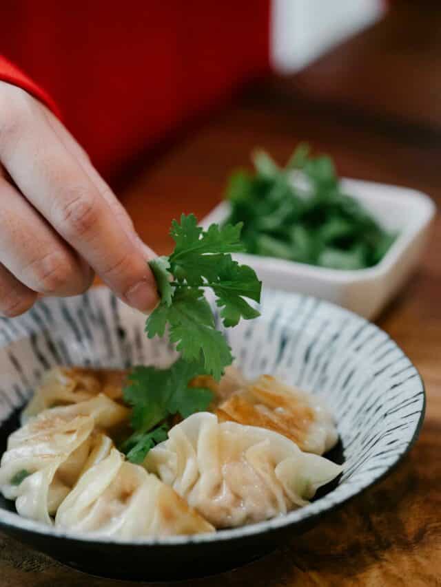 One Pot Dumpling Recipe For Winter Meals: An Asian Classic To Make At Home